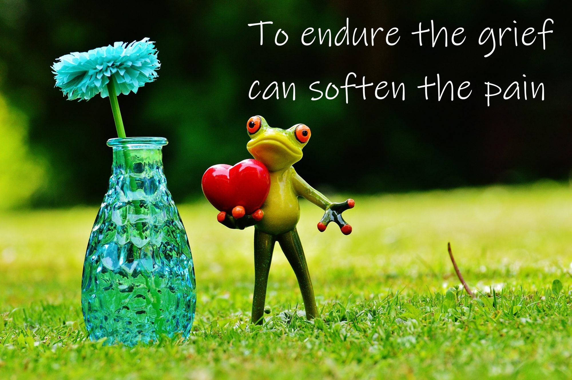 Stages of Grief - FND Action