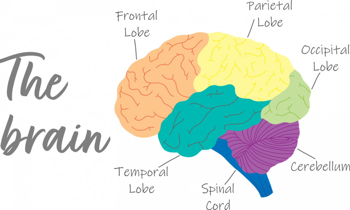 What is Functional Neurological Disorder - FND Action