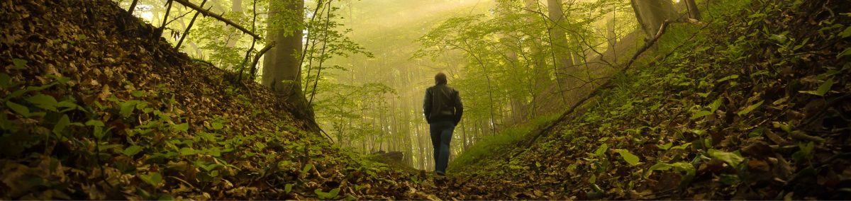 FND - Beyond Diagnosis - FND Action